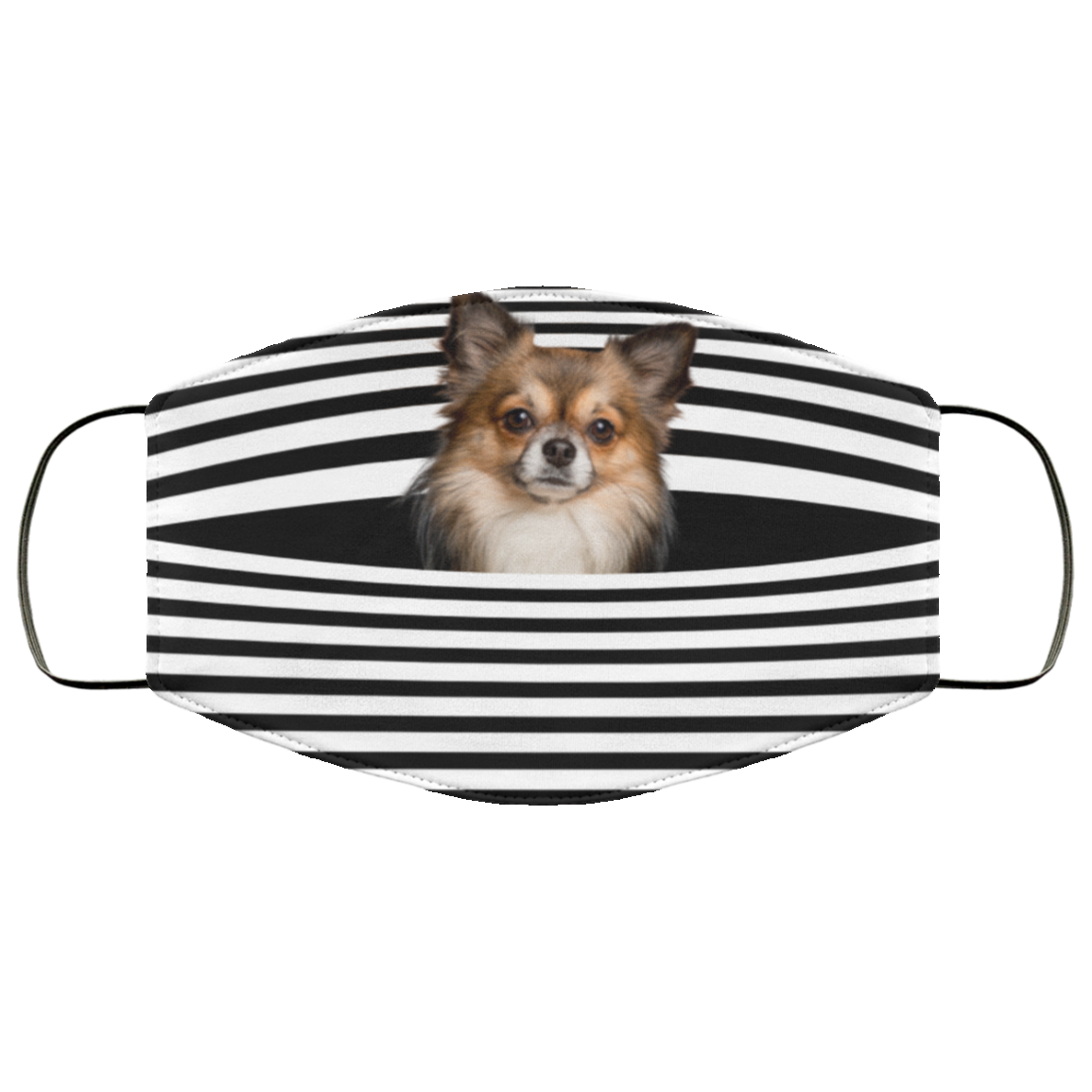 Chihuahua Stripes face mask - Rockatee