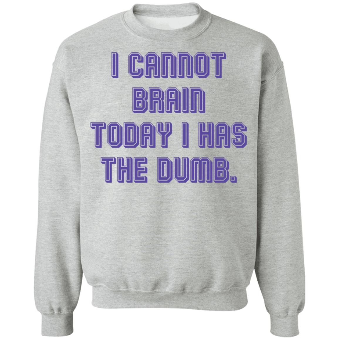 I cannot brain today i has the dumb shirt - Rockatee
